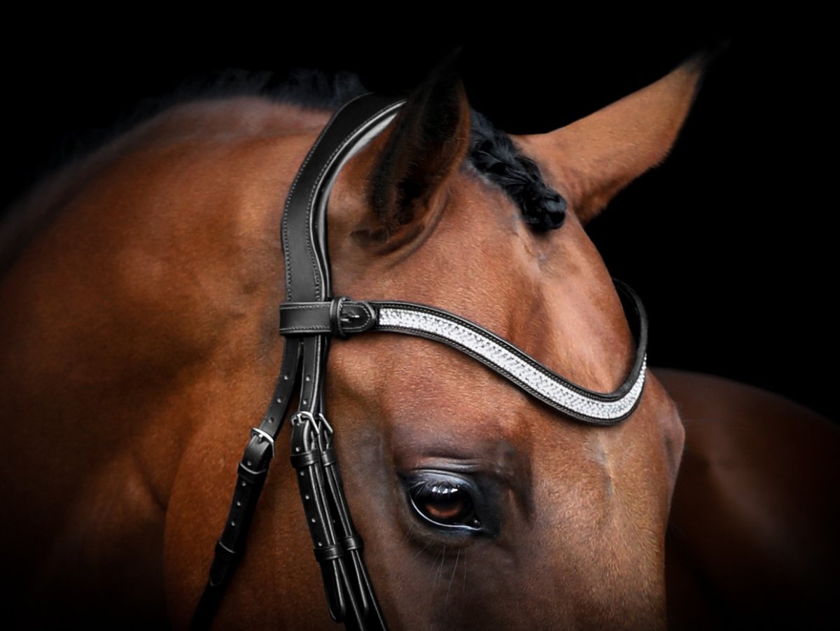 Front page - SD Design Aps