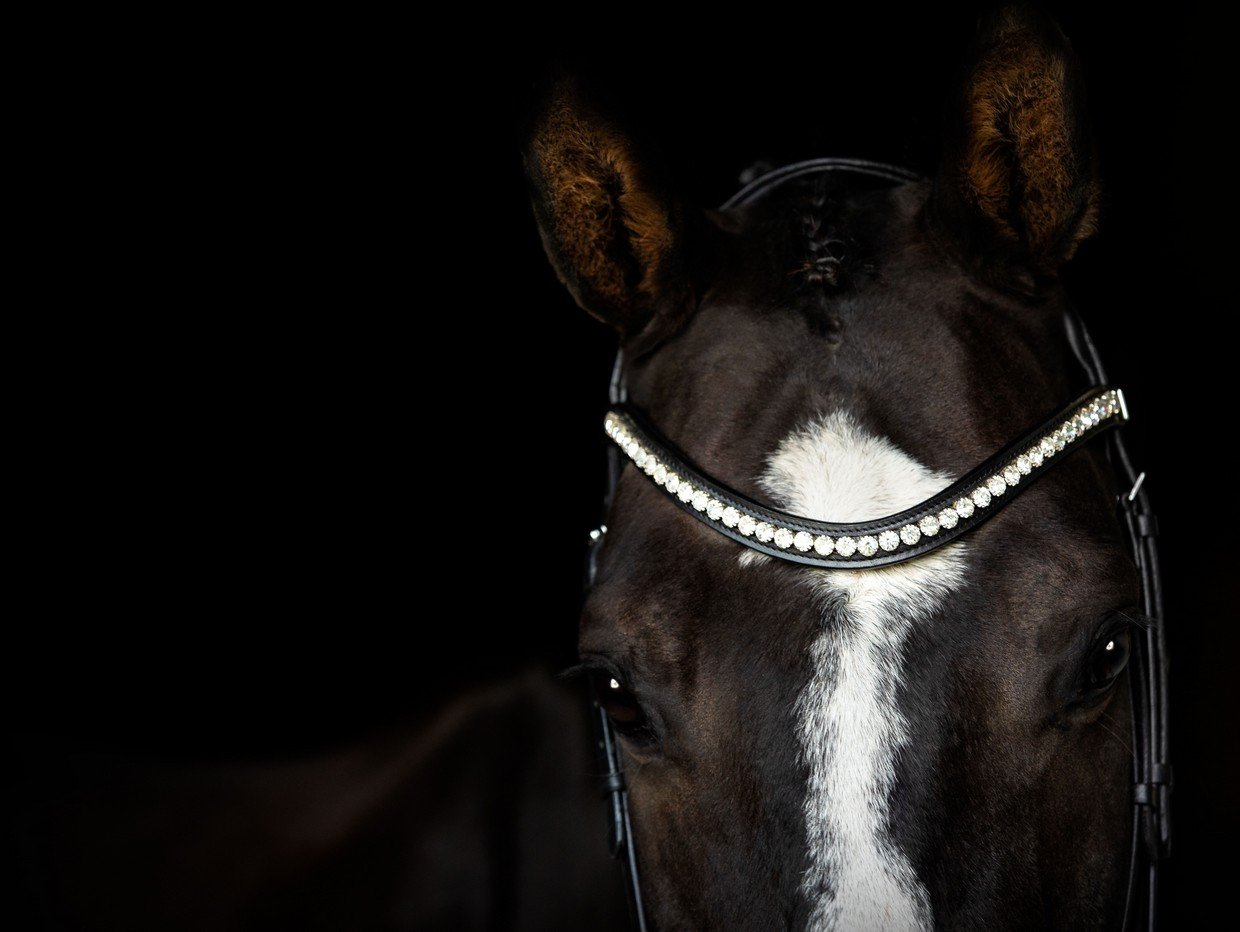 Front page - SD Design Aps