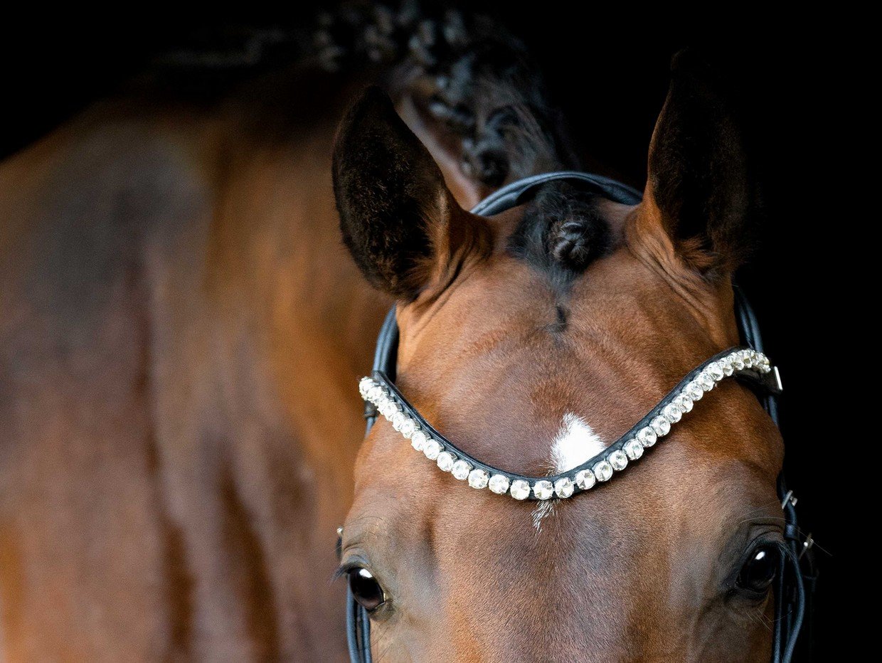 Front page - SD Design Aps