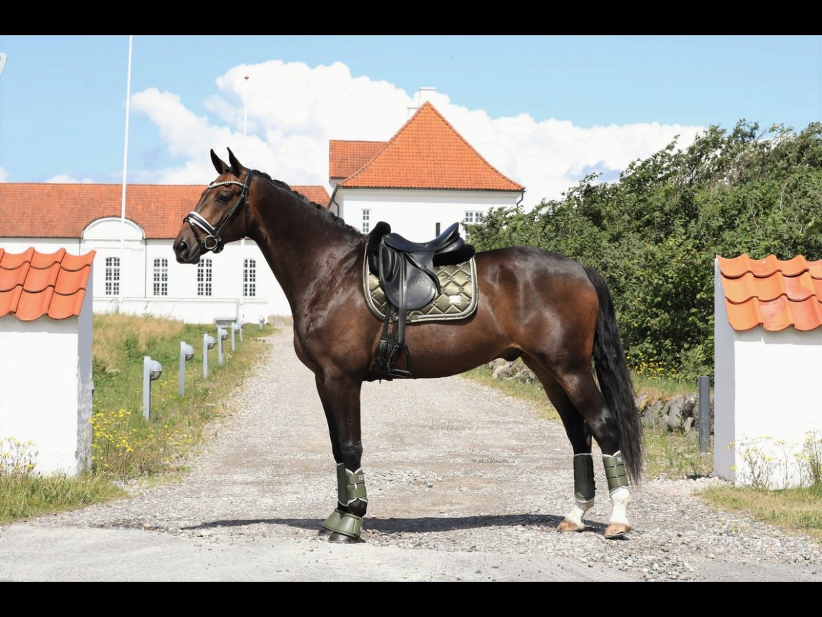 Front page - SD Design Aps