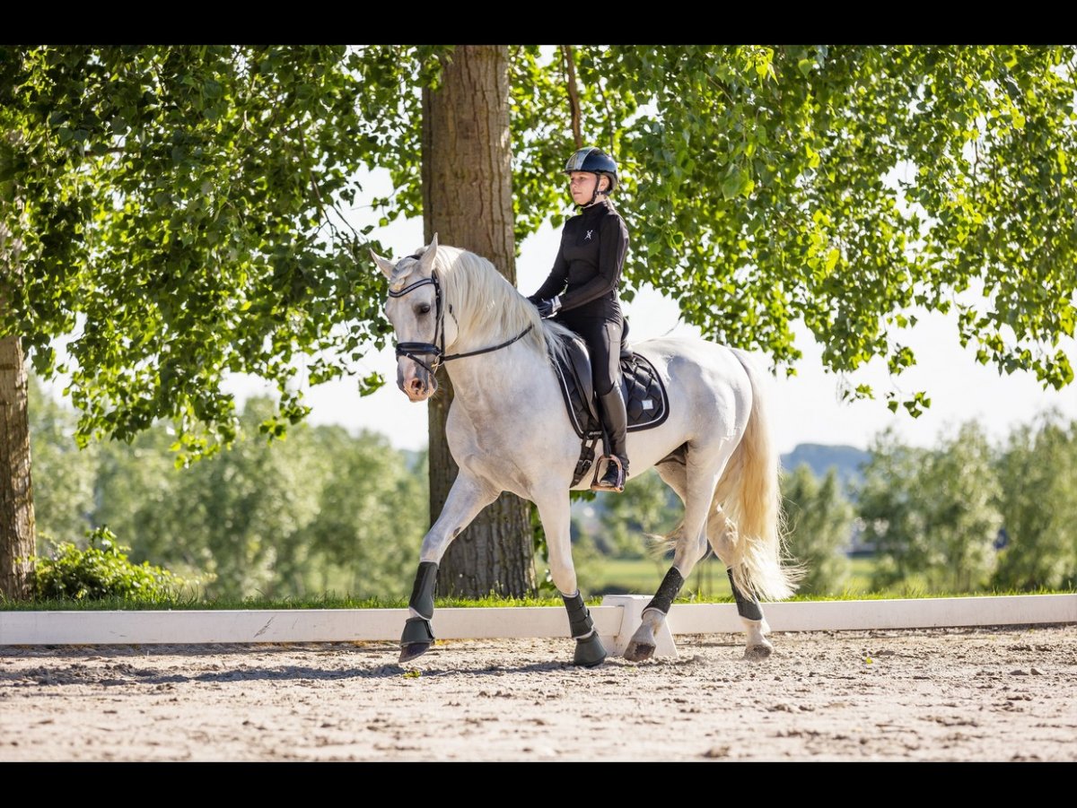 Front page - SD Design Aps