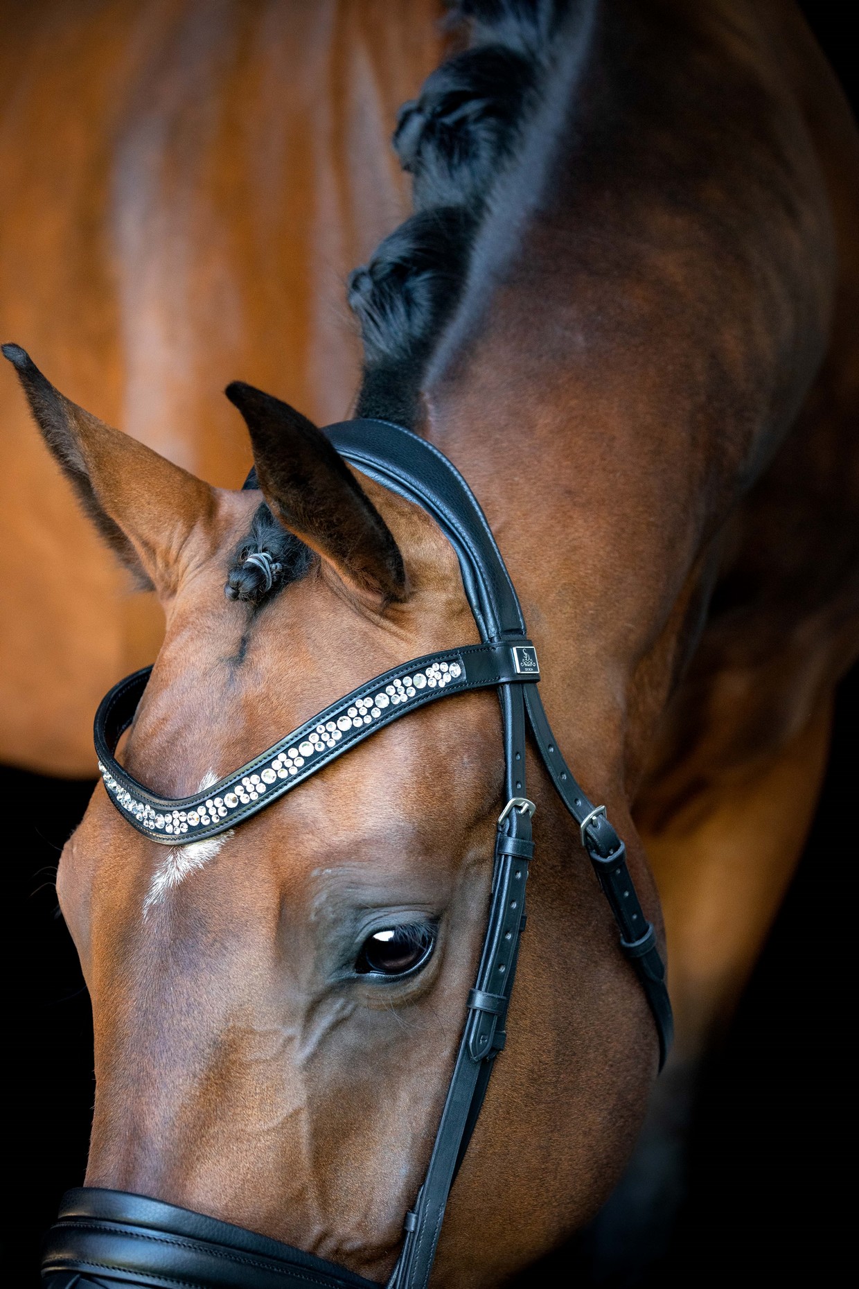 Front page - SD Design Aps