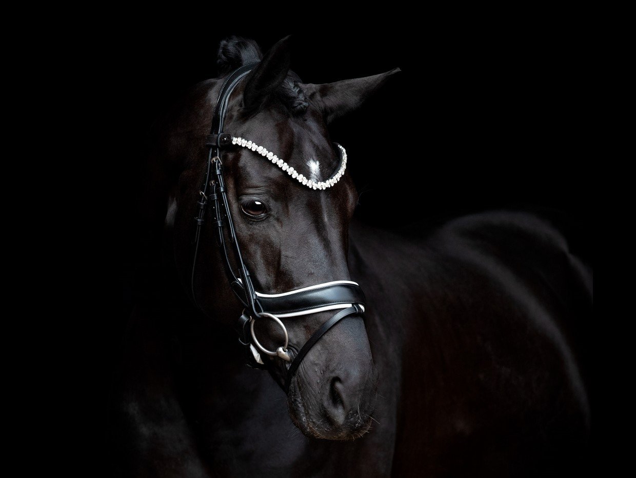 Front page - SD Design Aps