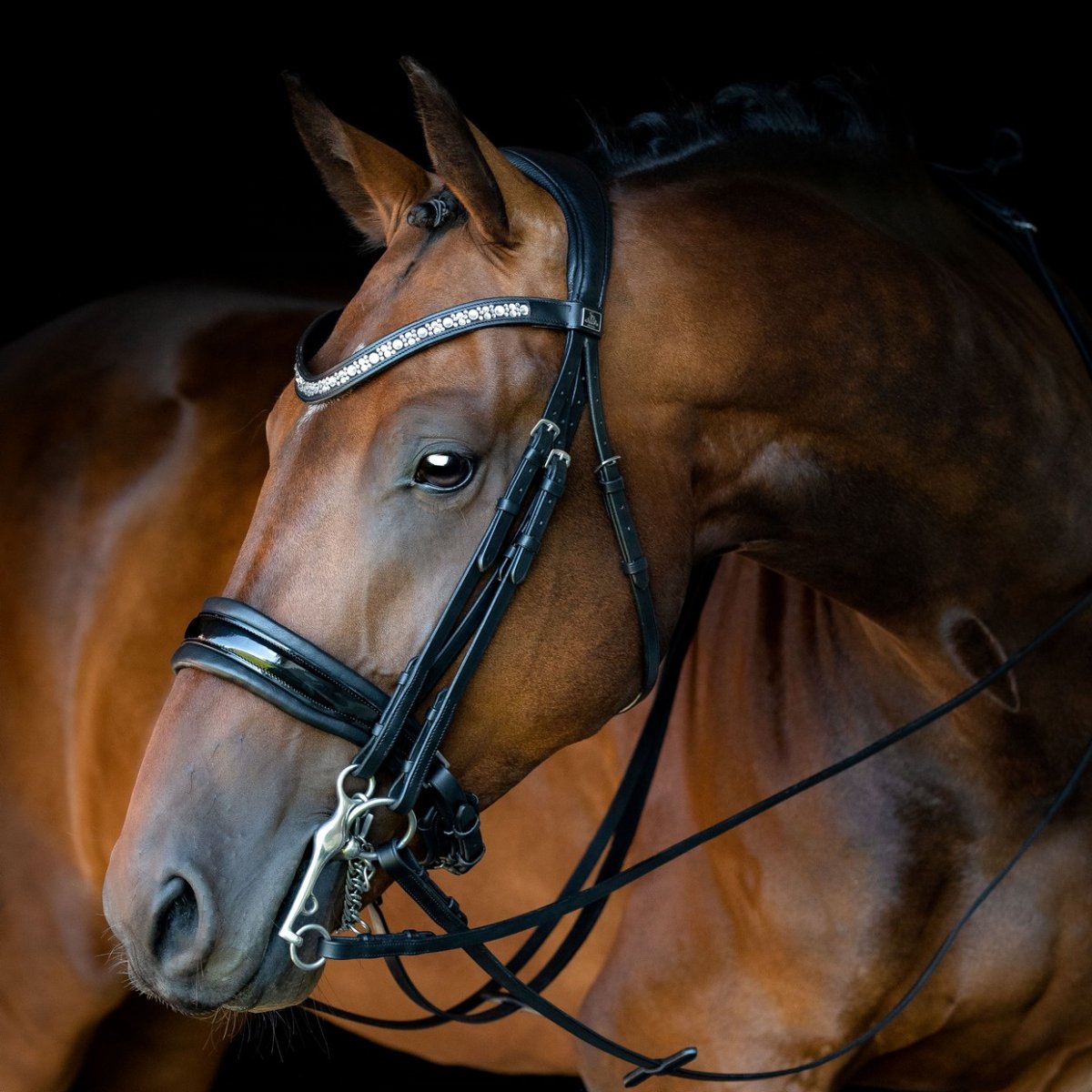 SD® Moulin Rouge Double Bridle. Black/Black
